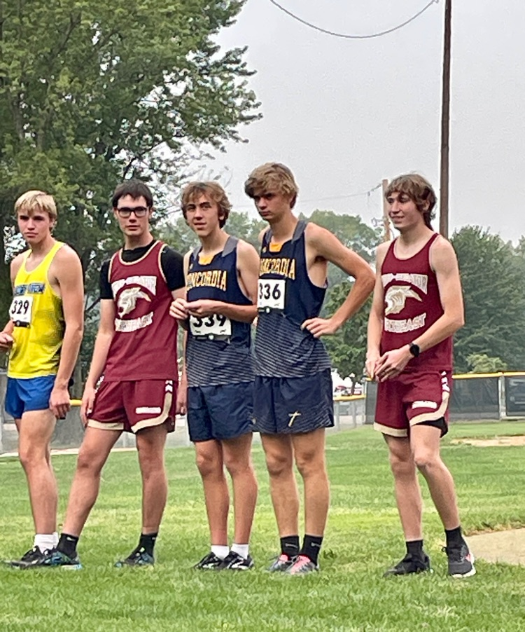 Live Feed | Lyons-Decatur Northeast Schools